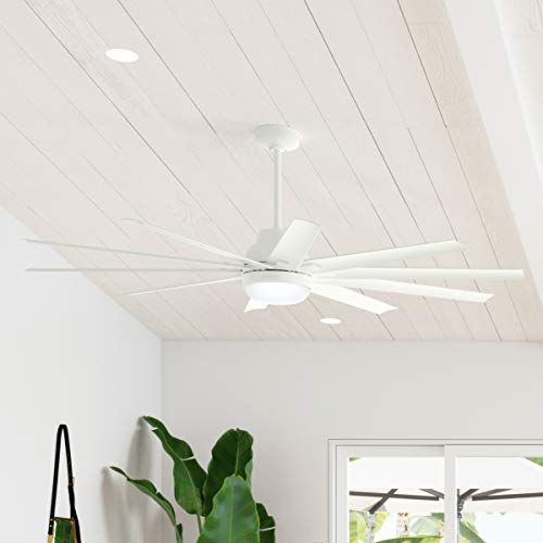 Hunter Fan Company 50717 Overton Ceiling Fan, 72, Matte White