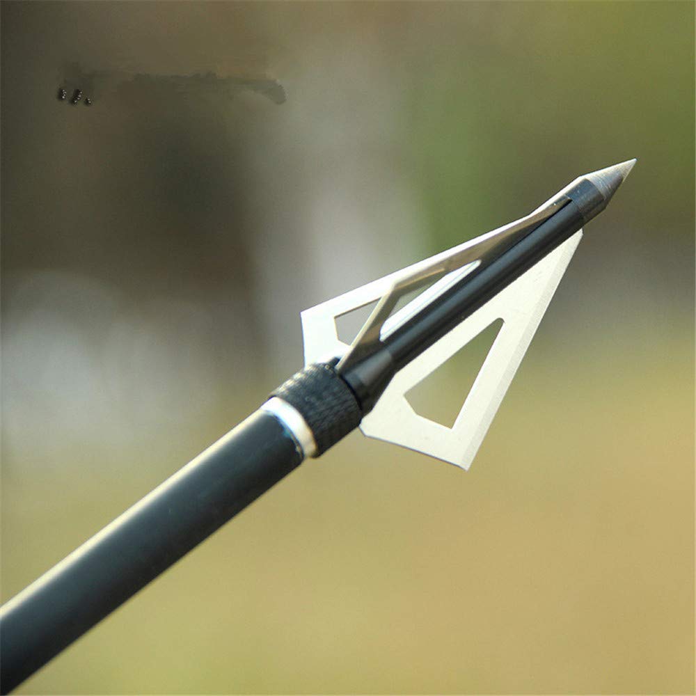 LIEYING 10 pcs Archery Hunting Broadheads 100 Grain 3 Blade Broad Screw Tips Arrow Heads for Shooting Training (10PCS,Red)