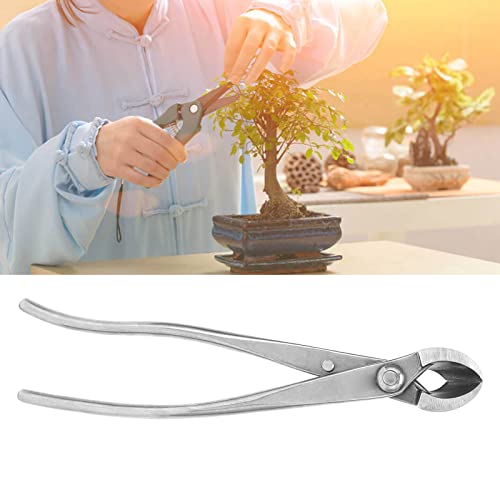 Socobeta Concave Root Cutter, Abrasion Resistant Bonsai Cutters Stainless Steel High Hardness Professional 21cm/8.27in Effective Rustproof for Gardening Tool