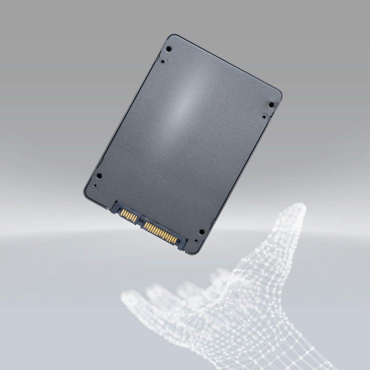 LEVEN JS600 SSD 256GB (Retail 10 Pack) - up to 550MB/s - 3D NAND SATA III Internal Solid State Drive