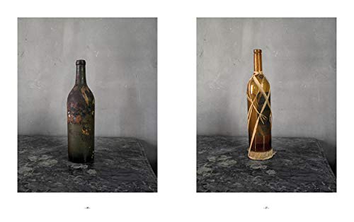 Joel Meyerowitz: Cézanne's Objects