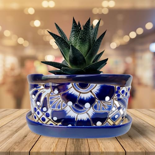 Small Ceramic Pot - Flower Planter with Drainage for Cactus Bonsai Succulents Blue and White Ceramic Pot - Desk Size - Maceta Ceramica Maceta Azul Blanco