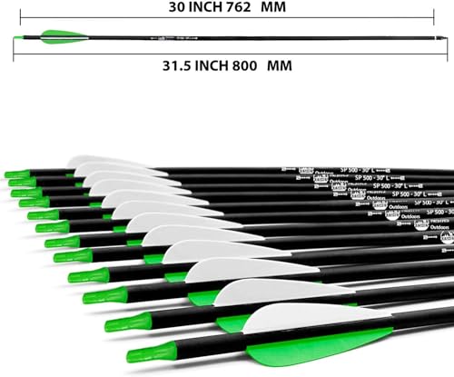 KESHES Archery Carbon Arrows for Compound & Recurve Bows - 30 inch Youth Kids and Adult Target Practice Bow Arrow - Removable Nock & Tips Points (12 Pack)