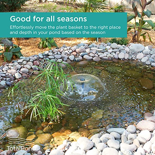 TotalPond Aquatic Plant Basket, 10-inch