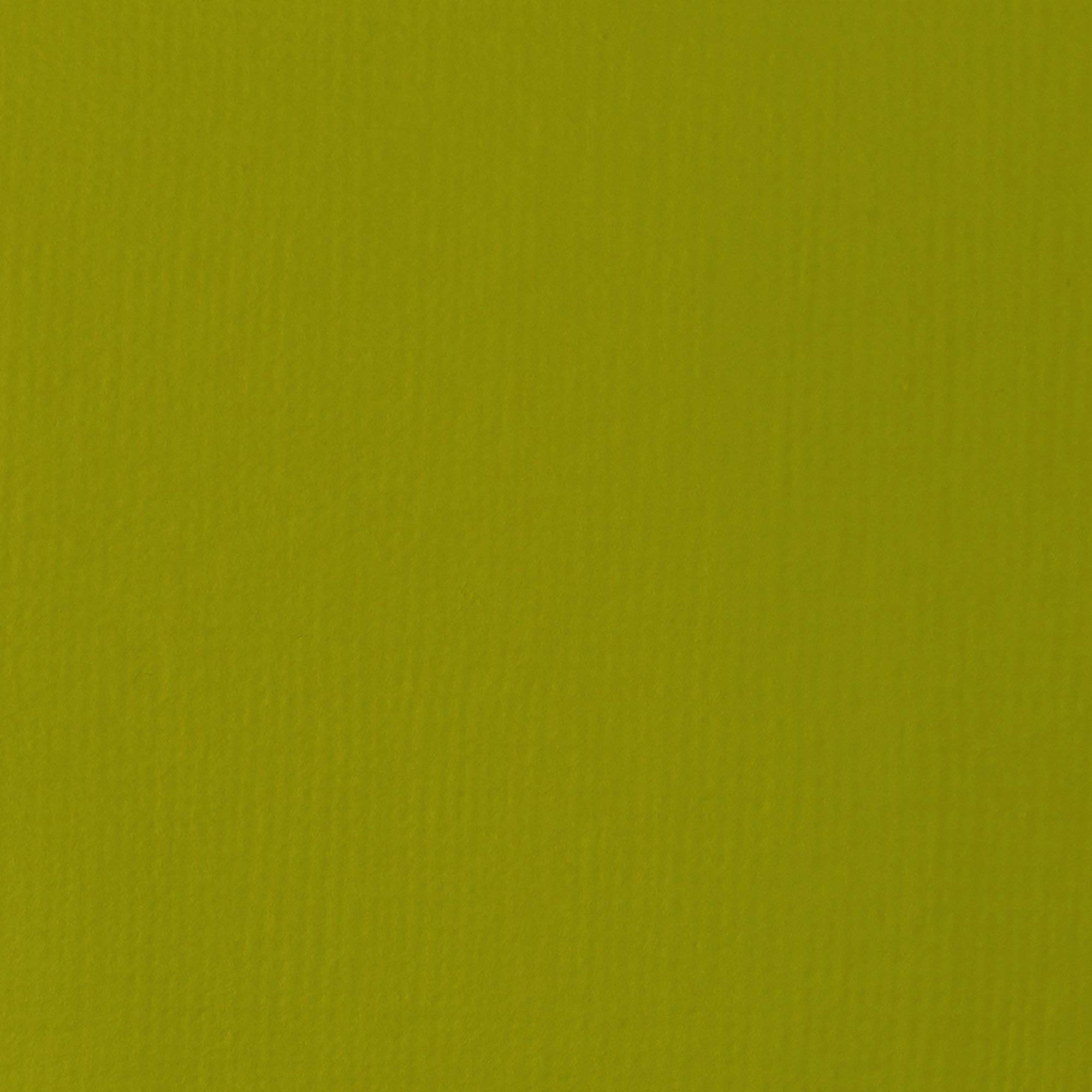 Liquitex BASICS Acrylic Paint, 118ml (4-oz) Tube, Light Olive Green