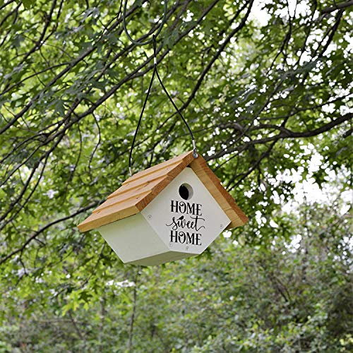 Wild Wings WWLH2-DECO Farmhouse Wren House, White