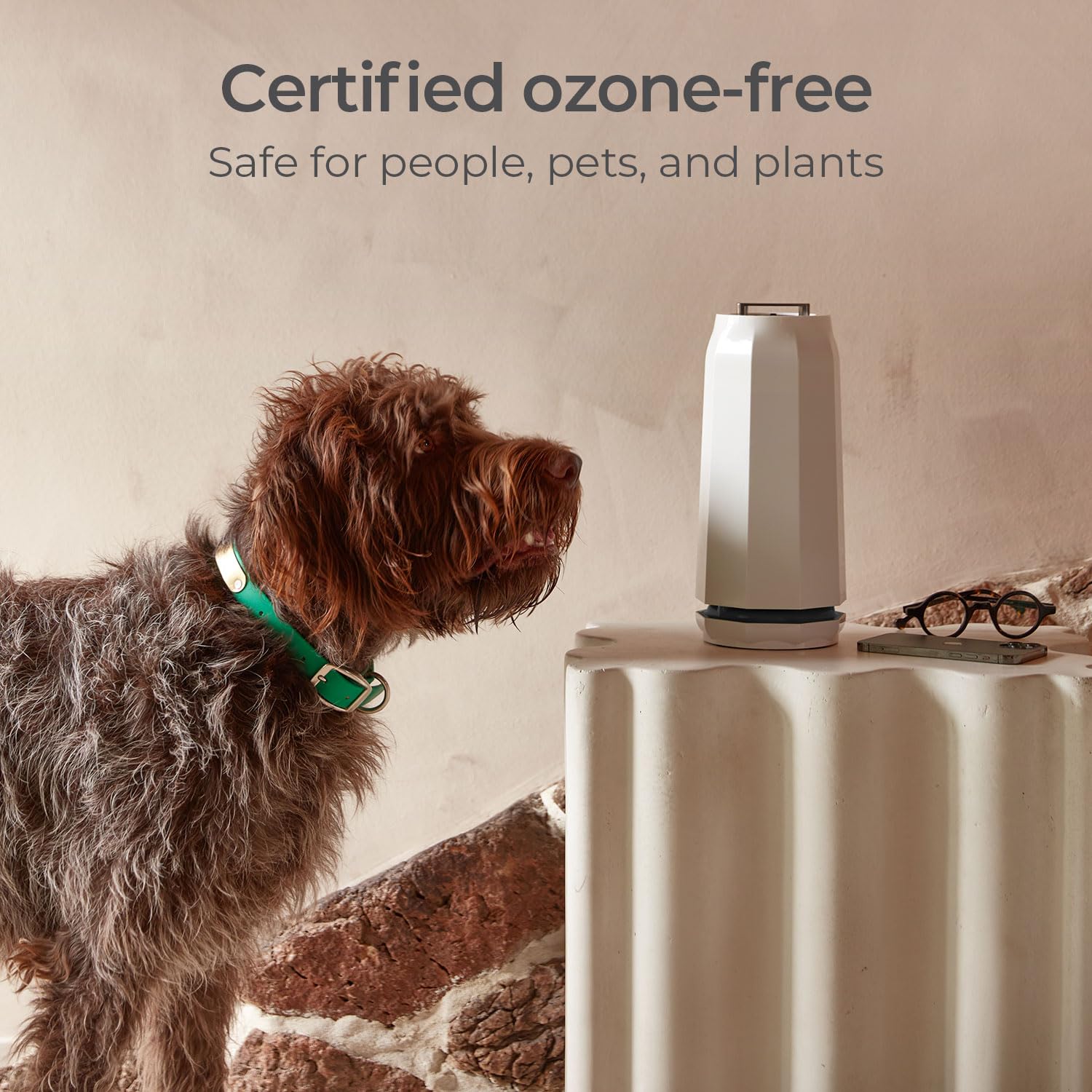 Puraclenz Photon Surface & Air Purifier - Stops Mold Growth, Destroys Viruses & Bacteria, Reduces Lingering Odors 24/7 - Patented Ozone-free Ion Technology - P1500 for Spaces Up To 1500 Sq. Ft.