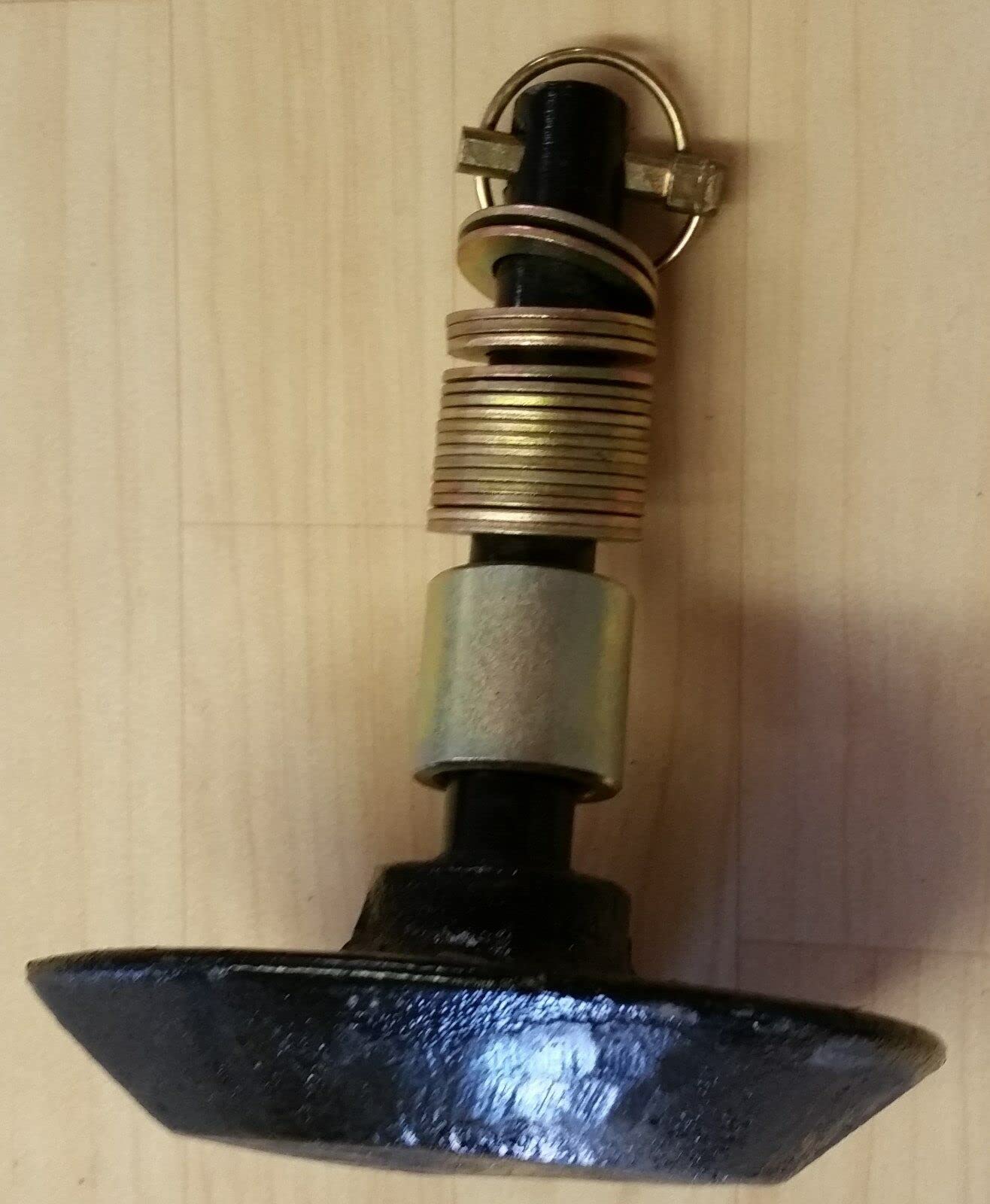 SnowDogg/Buyers Products 16121100, Shoe Assembly, HD/EX/CM Plow