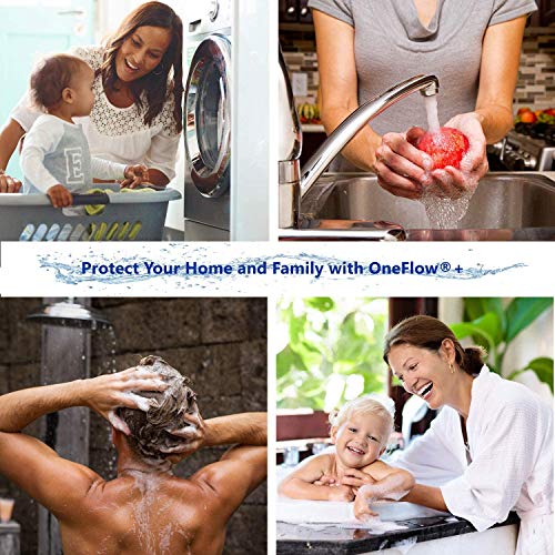 Watts OFPSYS OneFlow Plus Whole House Water Filter System & Water Softener, System + Carbon Water Filter + Scale Reduction Cartridge, 3 Piece Set