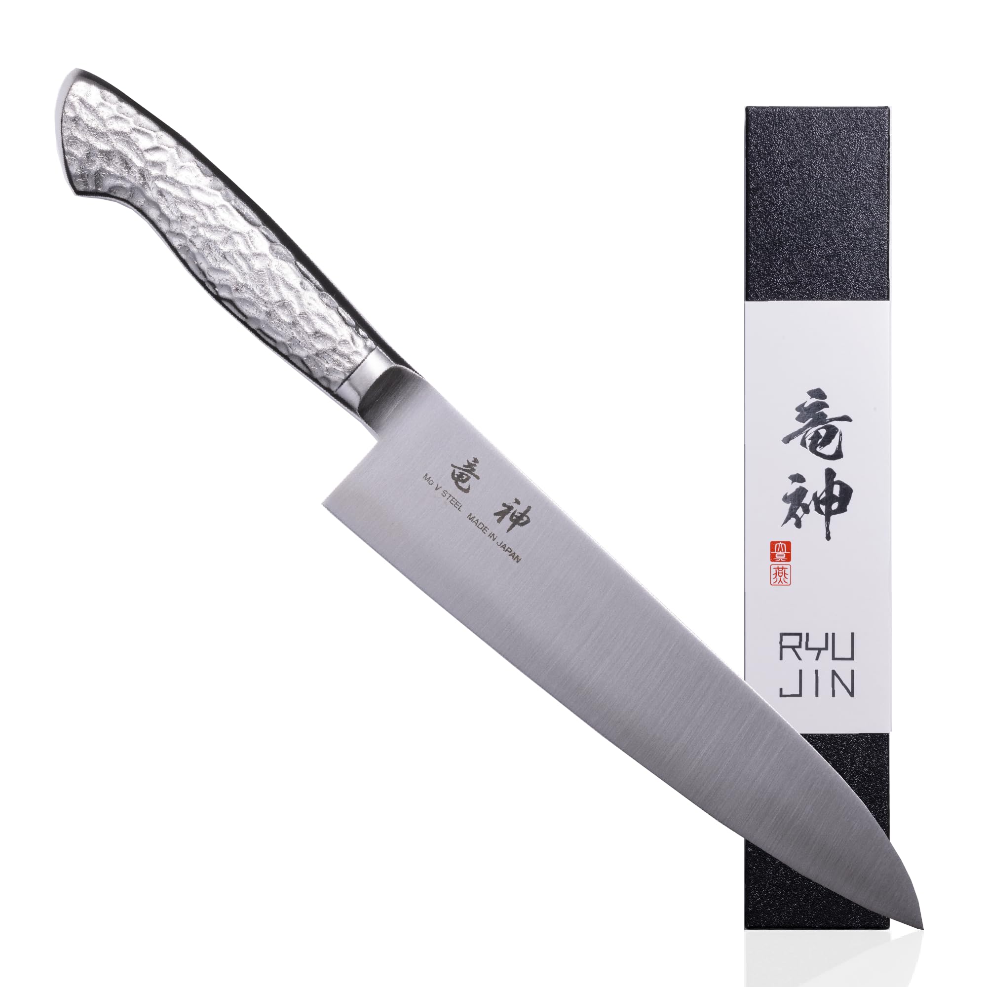 竜神 (RYUJIN) Professional Japanese chef knife Gyutou Knife 210mm [OMOTENASHI Selection 2023 Best Gold Award Winner] Made in Japan Tsubame Sanjo Stainless Steel Integrated Daishin Sangyo [Ryujin Knife]