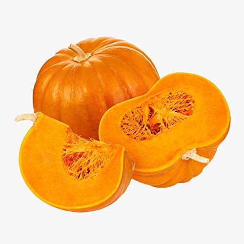 Semi di Zucca Quattro Stagioni Piantare Sorpresa Regalo Orto Vegetale Piantare Verdure Popolari - 100 Semi