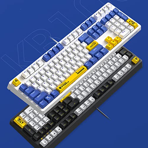 Qingchen Mechanical Gaming Keyboard,108-key Full Key Without Conflict,USB Wired with Full Key Programmable,for PC,Laptop,Mac.
