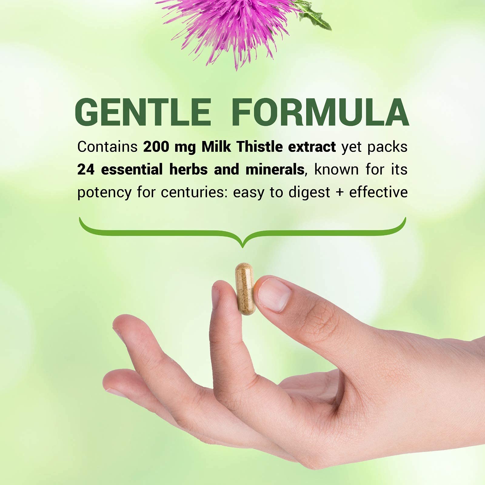 Liver Cleanse Supplement - Milk Thistle Extract Capsules - Natural 24 Potent Herbs: Formula - Promote Healthy Liver Function, All-in-One Liver Repair & Regeneration