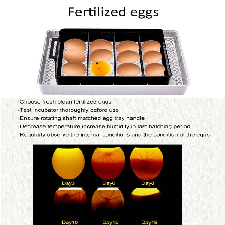 SSZYace 12-35 Egg Incubator, Incubators for Hatching Eggs with Automatic Turner, Egg Candler and Temperature Display, for Chicks, Quails, Ducks, Small Poultry