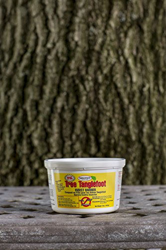 Tanglefoot Insect Barrier (Tub), 15 oz.