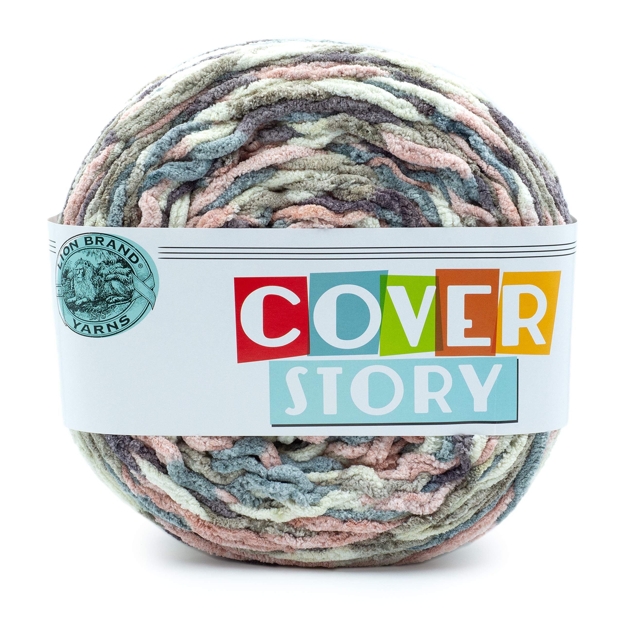 Lion Brand Yarn Cover Story yarn, Emery