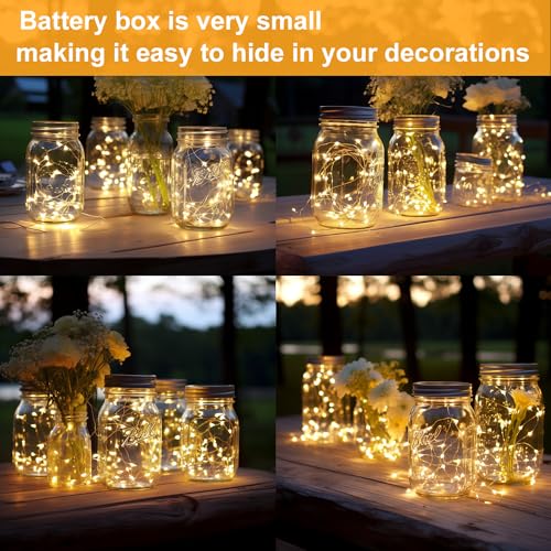 LEDIKON 12 Pack 10ft 30 LED Fairy Lights Battery Operated Mini String Lights,Silver Wire Warm White Firefly Lights for Wedding,Party Centerpieces,Table Decor,DIY Crafts,Festivals,Mason Jars Décor