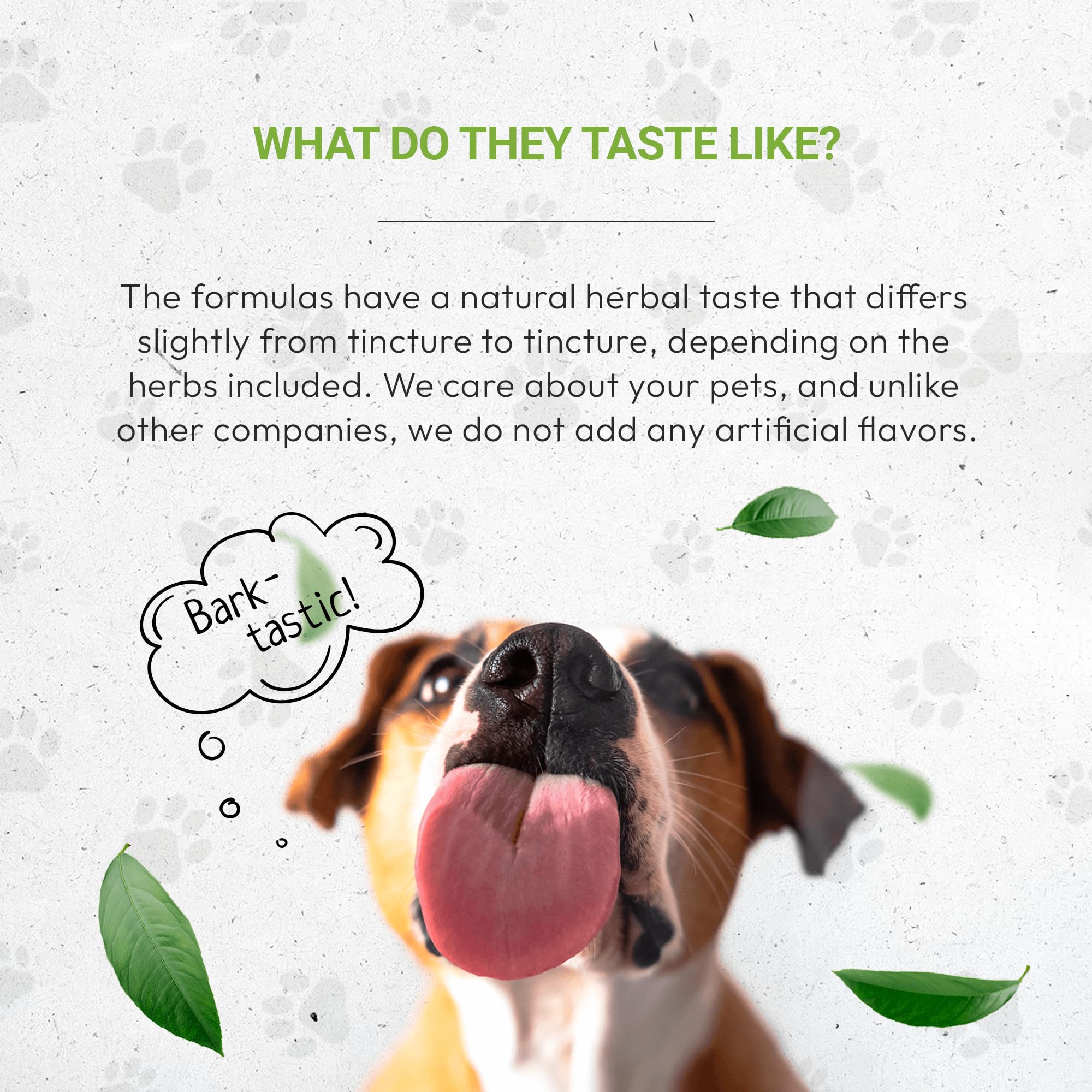 Wolf's Heart | Natural Herbal Dietary Supplement for Dogs | Healthy Heart Function Support in Dogs | Alcohol-Free Extract, Hawthorn, Motherwort, Dandelion Leaf, Parsley Leaf, Ginkgo 2 oz