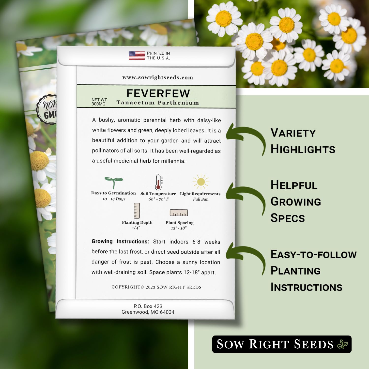 Sow Right Seeds - Feverfew Seeds for Planting - Non-GMO Heirloom Packet with Instructions to Plant an Outdoor or Indoor Herb Garden - Traditional Medicinal Herb, Make Tea & Extract for Migraines (1)