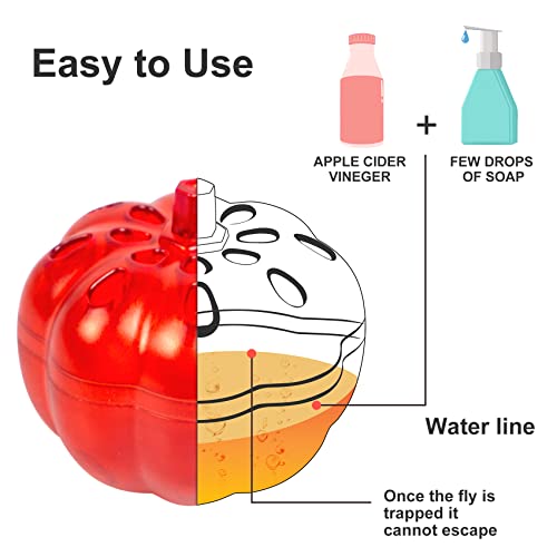 Stingmon 4 Pack Gnat Traps Killer Indoor, Reusable Fruit Fly Killer for Indoors, Fly Catcher for Bugs/Mosquitoes/Gnats