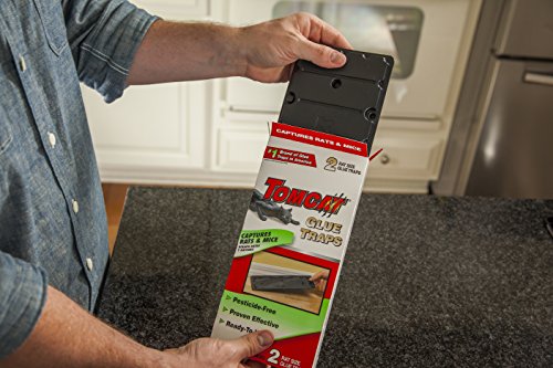 Tomcat Rat Size Glue Traps, 2-Pack (Original Formula)