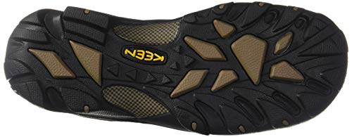 KEEN Men's Pyrenees Mid Height Waterproof Hiking Boots, Syrup, 12