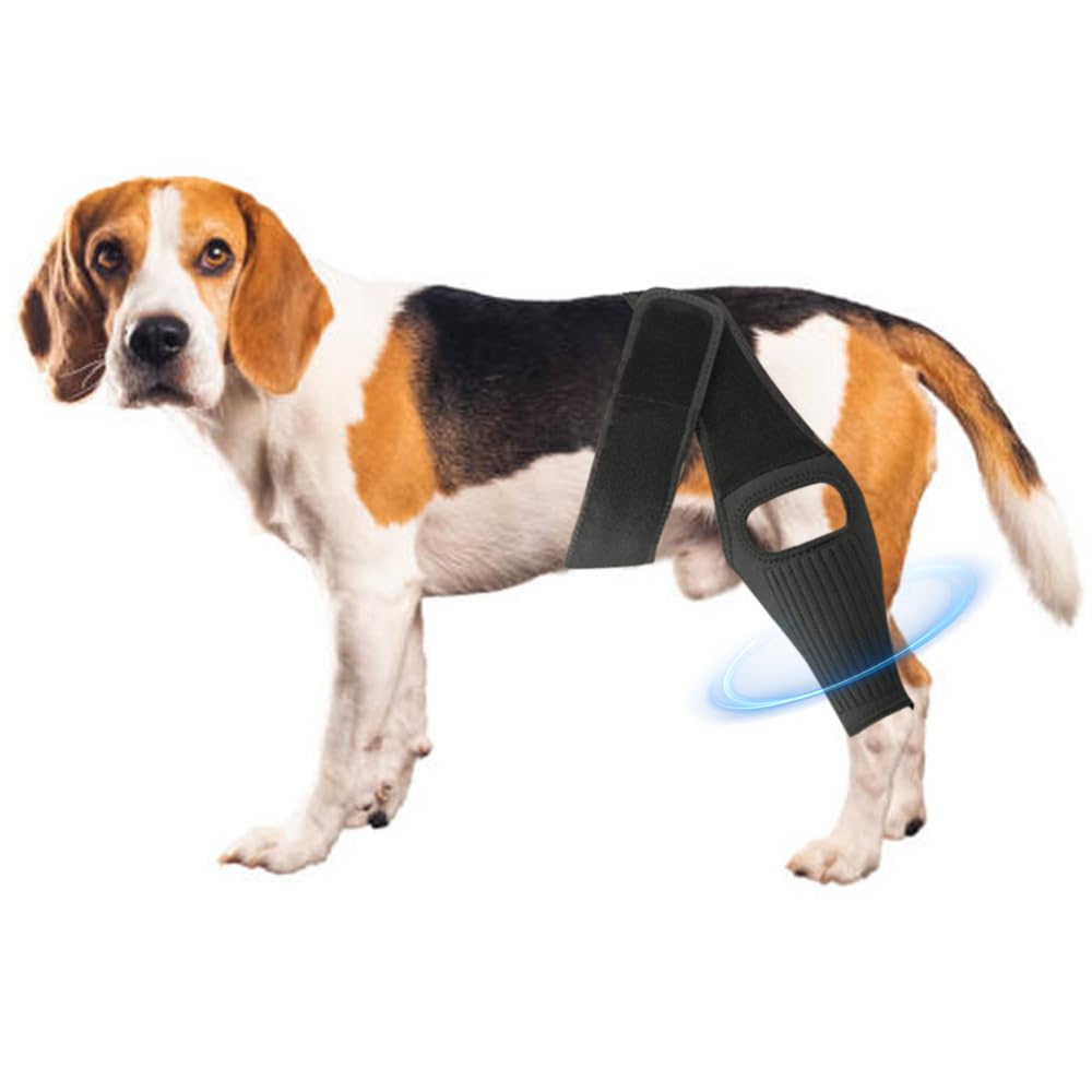 TONTONJIA Dog Knee Brace for Torn Acl Hind Leg Adjustable Dog Back Leg Support Brace, Dog Leg Brace for Hip Dysplasia, Better Recovery with Dog ACL Knee Brace (Medium)