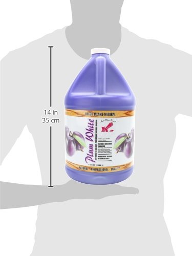 Kelco 50:1 Plum White Shampoo Gallon
