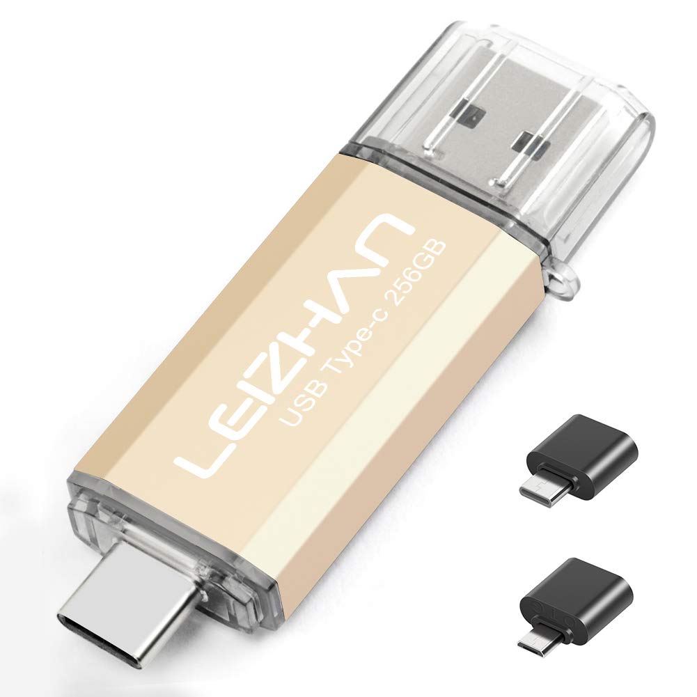 leizhan Type-C USB Flash Drive 256GB, USB C Photo Stick for Huawei P20,Samsung Galaxy S10, S9, Note 9, S8, S8 Plus, with USB OTG Adapter Micro and Type-C USB to USB Converter