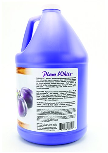 Kelco 50:1 Plum White Shampoo Gallon