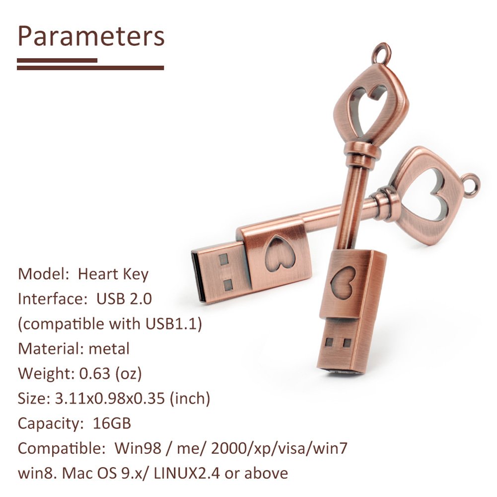 LEIZHAN Metal Key USB Flash Drive 5 Pack 16GB Love Heart Shape Thumb Drive USB Computer Memory Stick Pen Drive Graduation Gift Pendrive