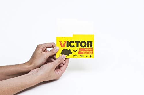 Victor M320 Professional Glue Boards for Insect and Rodent monitoring - 150 Glue Boards