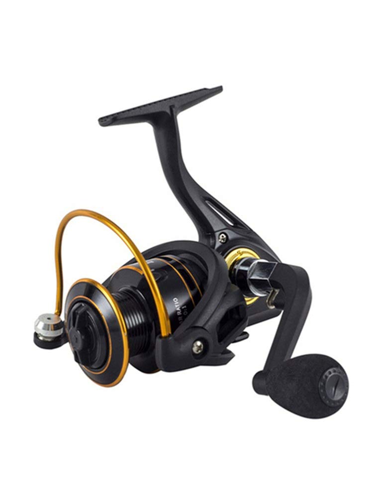 LLJPYX7L Super Smooth Fishing Reel for Beginners, Multiple Models, Best Fishing Reel, Left/Right Interchangeable Handle, 10BB Durable Bearing 4.7:1 Gear Ratio (Size : 5000)