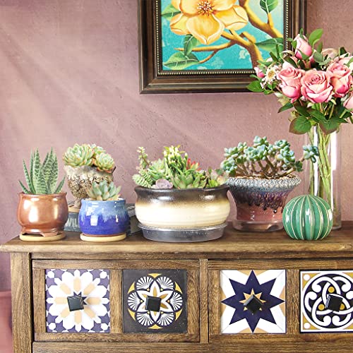 Summer Impressions 8 Inch Glazed Terracotta Plant Pot Round Ceramic Succulent Planter Pot with Drainage and Saucer Cactus Clay Pot Bonsai Pot