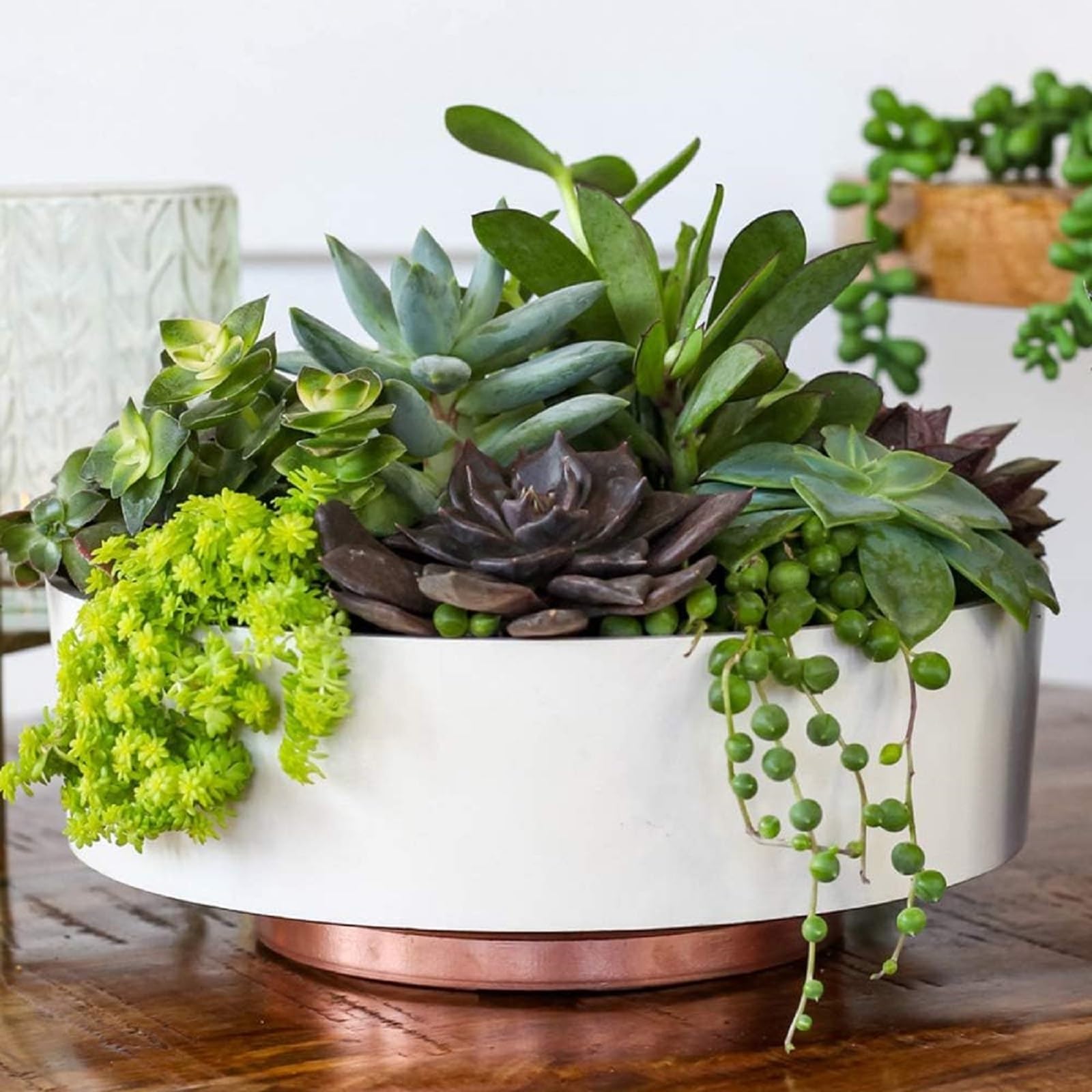 The HC Companies 6 Inch Round Capri Succulent Pot - Decorative Indoor Plastic Planter with Drainage, Vanilla Bisque