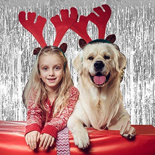 TONIFUL 3Pcs Silver Door Streamers,Silver Photo Booth Backdrop Metallic Streamers Silver Foil Fringe Curtains for Birthday,Christmas,New Year,Bachelorette,Grad Party Streamers Decor(9.9ft x 8.2ft)