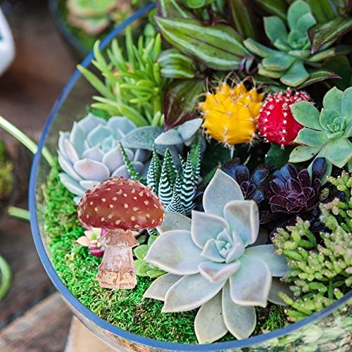 SHERCHPRY 15 pcs Fish Tank Ornaments Mini containers Resin Container Fluorescence Decorate Props Decorations Bonsai Figurines Decor Sculptures Home Decor Statue Flowerpot Mushroom Statuette