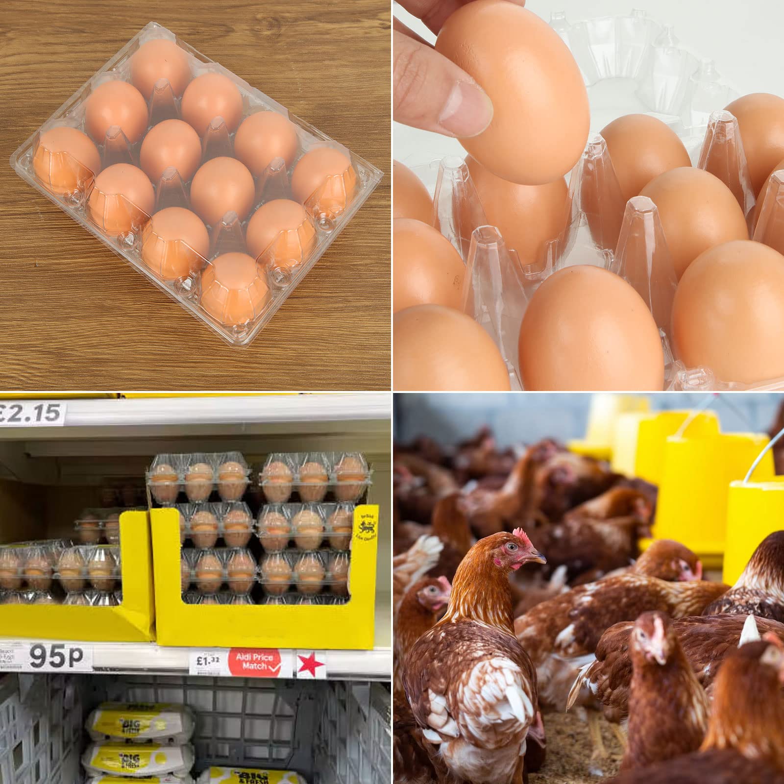 Plastic Egg Cartons Bulk, 40 Packs Empty Clear Plastic Egg Cartons to 12 Eggs, Reusable Chicken Egg Cartons for Family Pasture Chicken Farm, Business Market Display, Storage