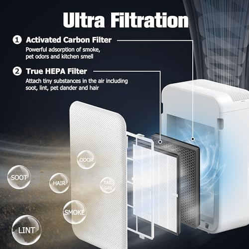 ROMON 2 Pack TT-AP003 Replacement Filter Compatible with TaoTronics TT-AP003 and VIVOSUN 5-in-1 Air Purifiers, H13 Grade True HEPA and Activated Carbon Filter