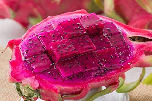 zellajake 100 PCS Seeds Pitaya Bonsai Tree Plants Dragon Fruit Garden Red Meat Pitaya Seeds