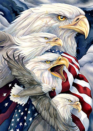 Toland Home Garden 1012379 Fly In Unity Patriotic Flag 28x40 Inch Double Sided Patriotic Garden Flag for Outdoor House Eagle Flag Yard Decoration