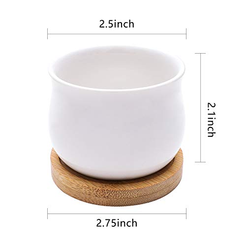 SHECIPIN Succulent Plant Pot, White Mini 2.6 inch Ceramic Flower Planter Pot with Bamboo Tray, Pack of 8 - Plants Not Included