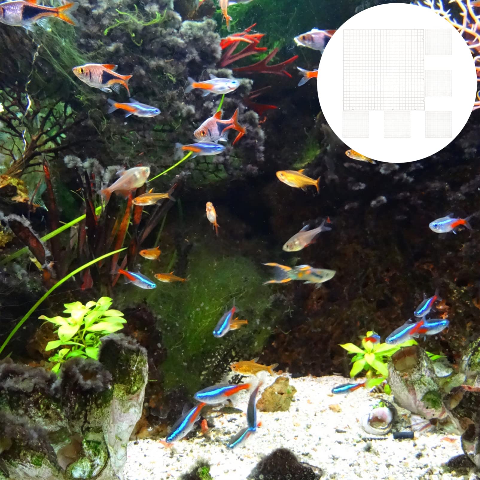 Kichvoe 6pcs Fish Tank Divider Grid Aquarium Grid Dividers Fish Tank Divider Plates Mesh Divider Aquarium Supplies Fish Tank Grid Divider Bottom Partition Net Aquarium Bottom Divider
