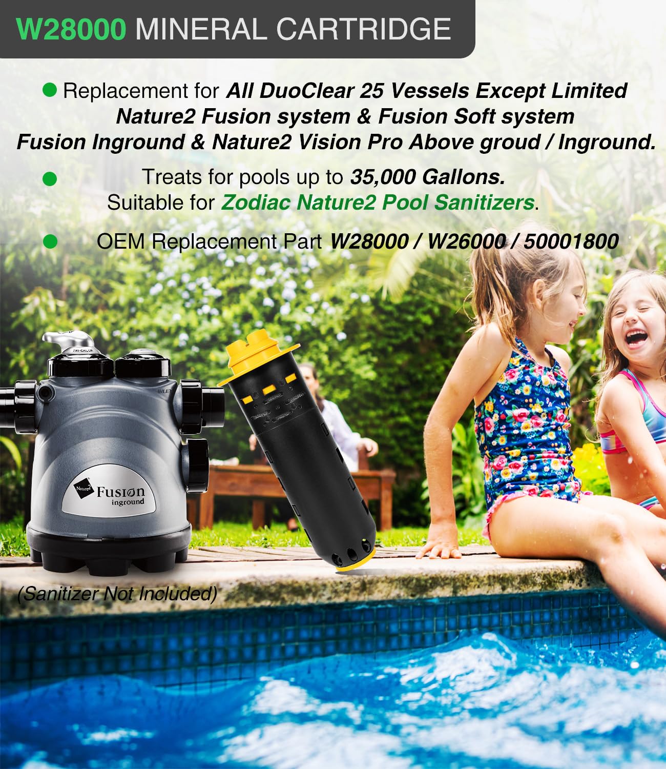 Replacement for Nature2 Duoclear 25 Mineral Cartridge W28000 for All Zodiac DuoClear Fusion Soft Vision Pro Above Ground Ingroud Pool Sanitizers, for up to 35,000 Gallons Pool, W26000, 50001800