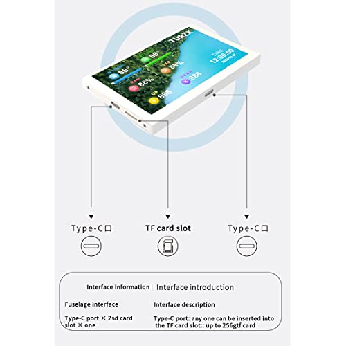 sunnei 5 Inch IPS LCD Monitor Mini Computer Monitor Secondary Screen USB Dynamic Display Sub-Screen Free Drive AIDA64, White