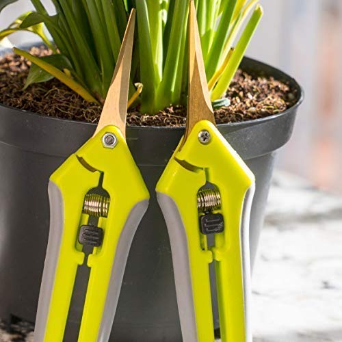 The Relaxed Gardener Gardening Scissors Set - Curved and Straight Titanium Coated Blade Micro Tip Pruning Shears - Super Sharp Trimmers for Plants with Anti-Rust Coating