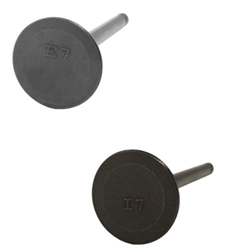 Set Inteake Valve+ Exhaust Valve For for Subaru Robin EX17, EX170,