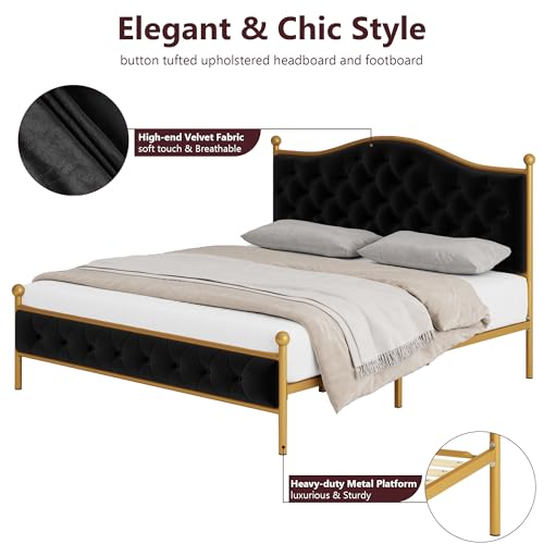 King Size Hand-Sewn Upholstered Platform Bed Frame with Button Tufted Headboard & Footboard, Modern Velvet Black Bed with Gold & Metal Frame and Solid Wood Slat/No Box Spring Needed/Easy Assembly