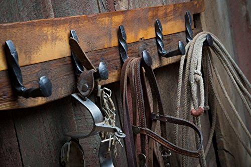 Twisted Reclaimed Railroad Spike 5 Hook Rack