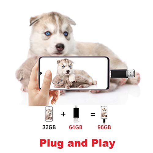 Vansuny 64GB Flash Drive 2 in 1 OTG USB 3.0 + USB C Memory Stick with Keychain Dual Type C USB Thumb Drive Photo Stick Jump Drive for Android Smartphones, Computers, MacBook, Tablets, PC